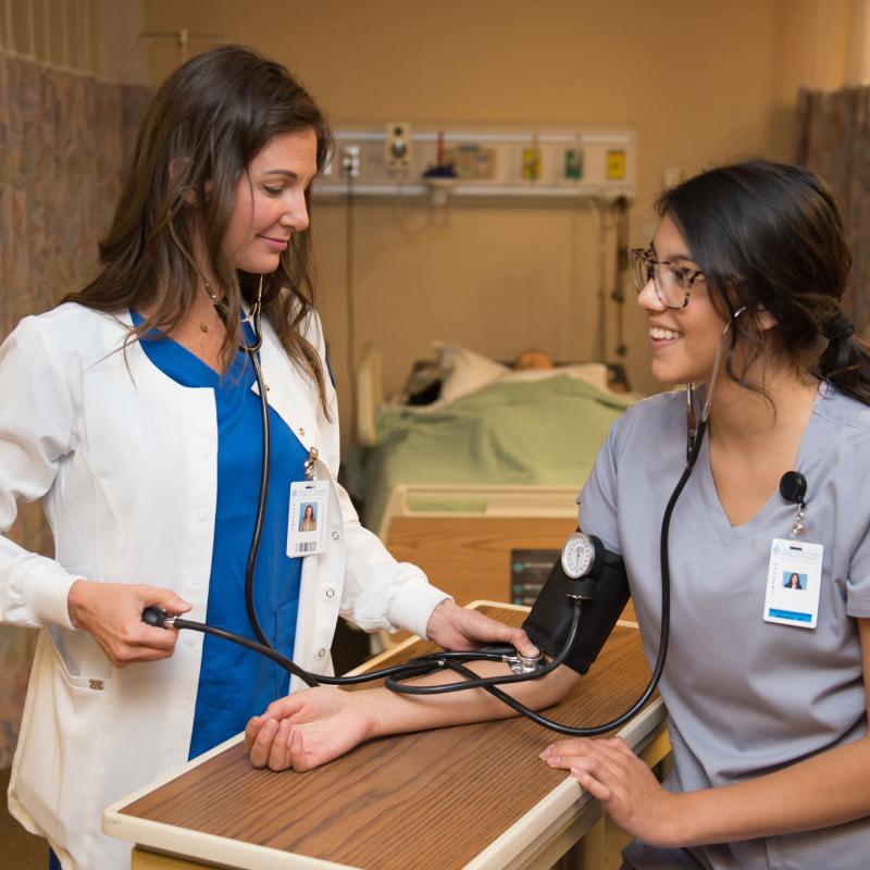Curriculum Online Bachelor Of Science In Nursing Rn Bsn