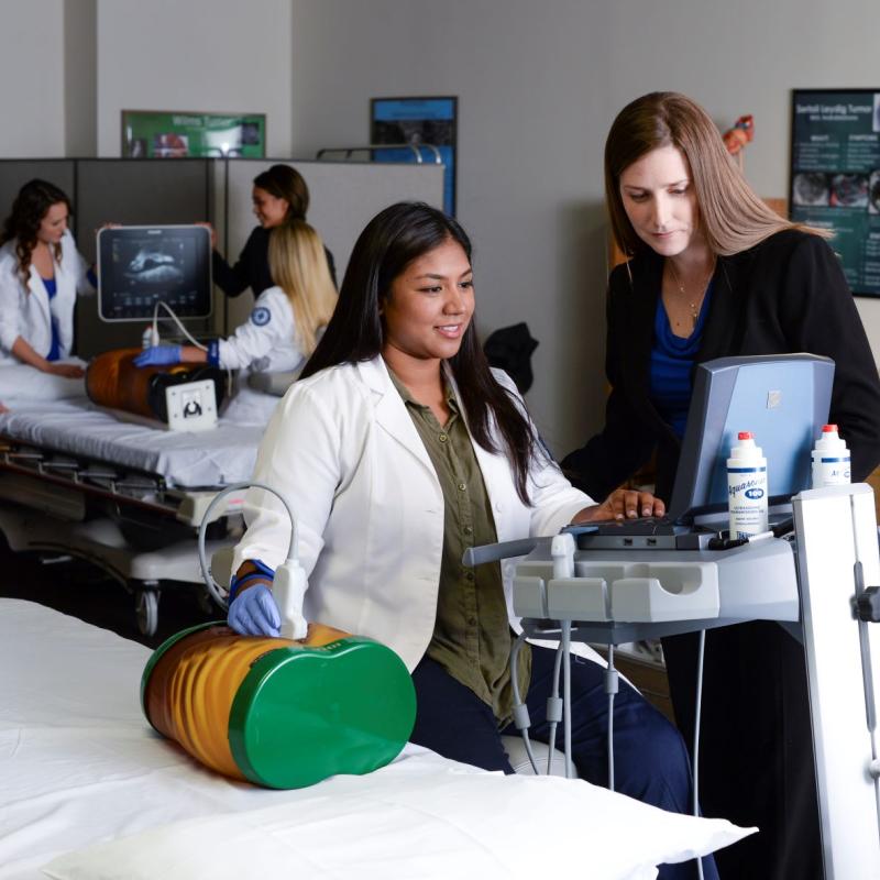 Search Results Associate Of Science In Diagnostic Medical Sonography