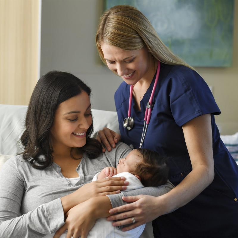 Curriculum Online Master Of Science In Nursing Adventhealth University
