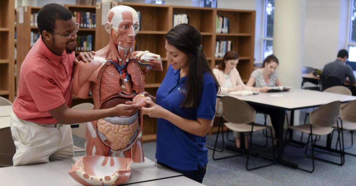 Admissions | Bachelor of Science in Health Sciences | AdventHealth ...