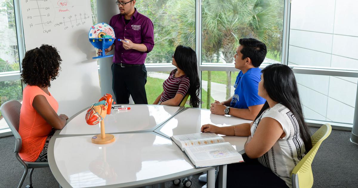 Curriculum | Associate of Science in Health Sciences | AdventHealth ...